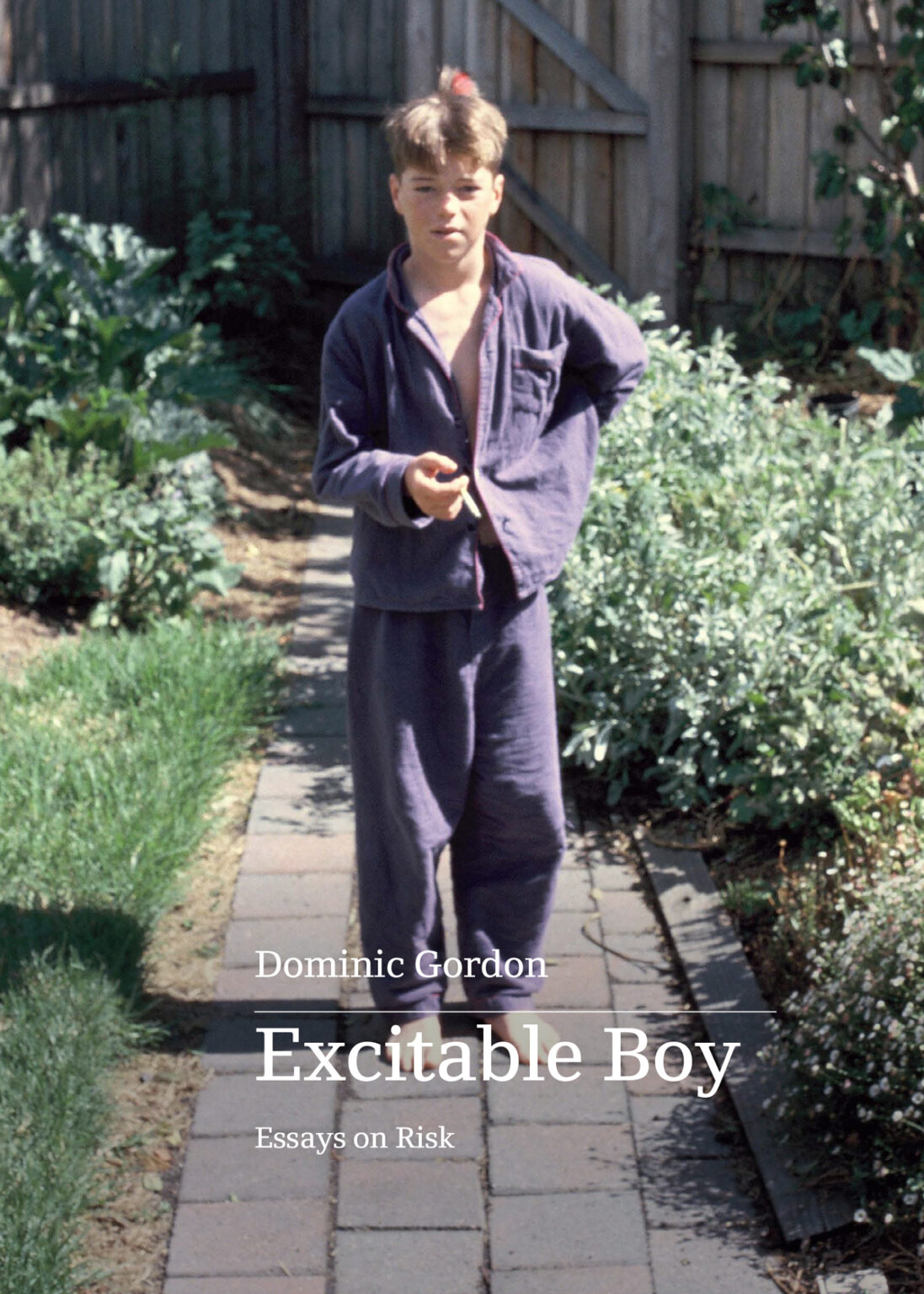 Upswell - Excitable Boy: Essays on Risk